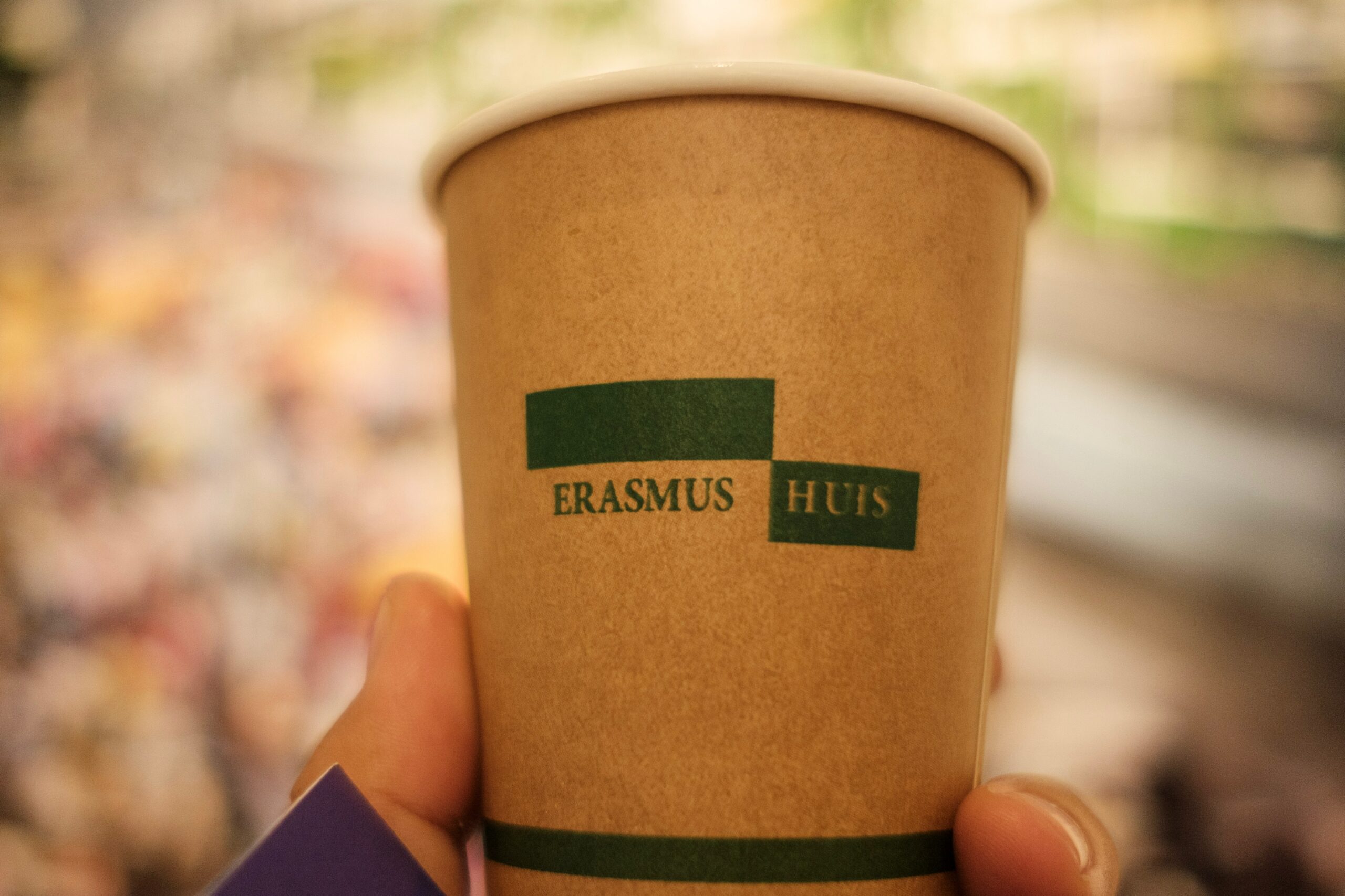 What actually is the Erasmus program?